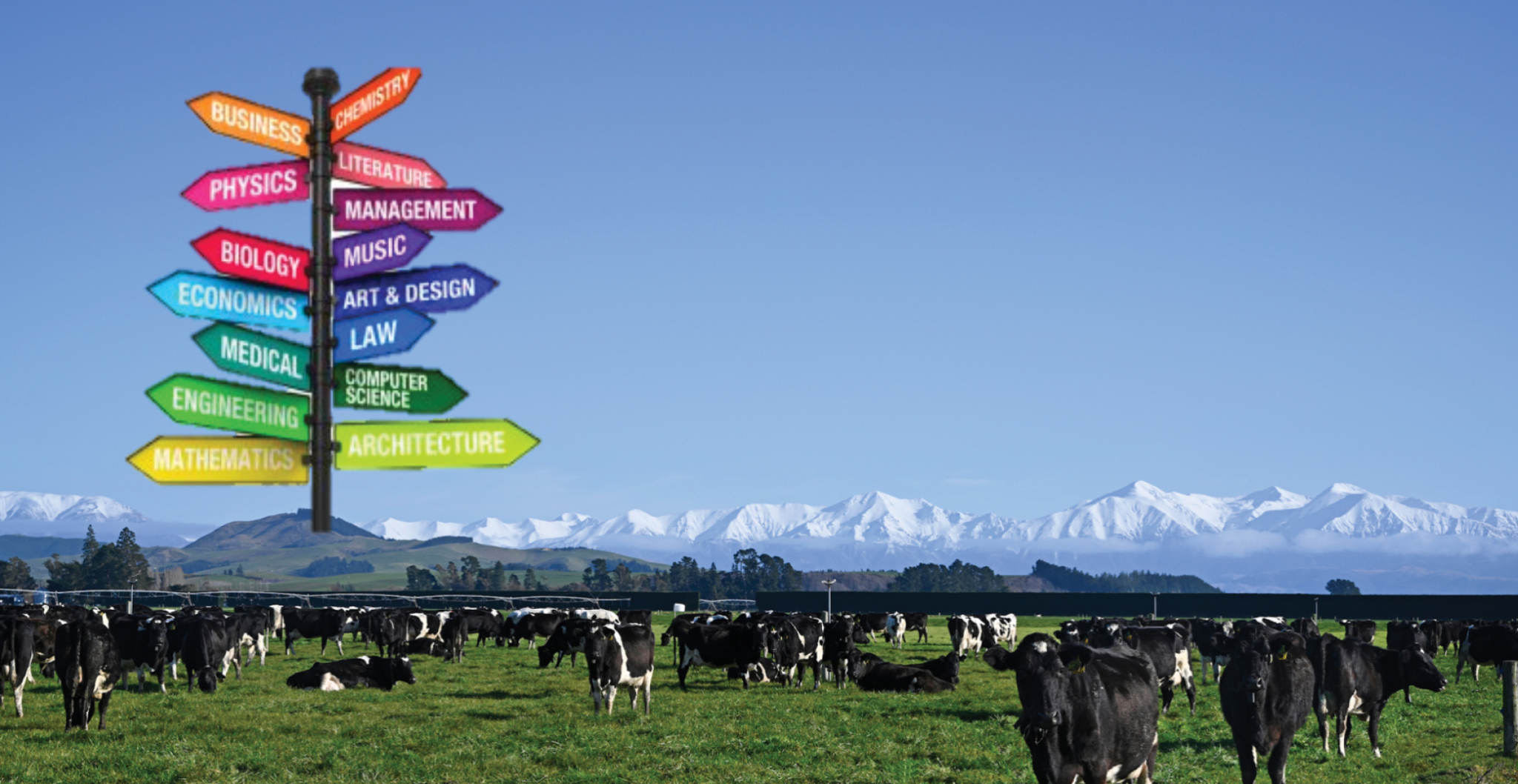 Who’s next? How is New Zealand’s secondary school education system ...